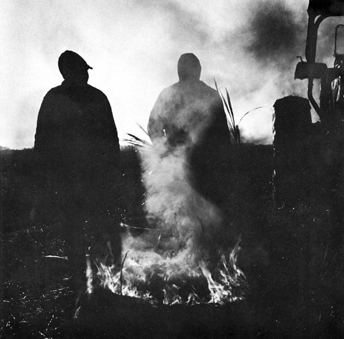 Debbie Fleming Caffery - Arthur Roger Gallery